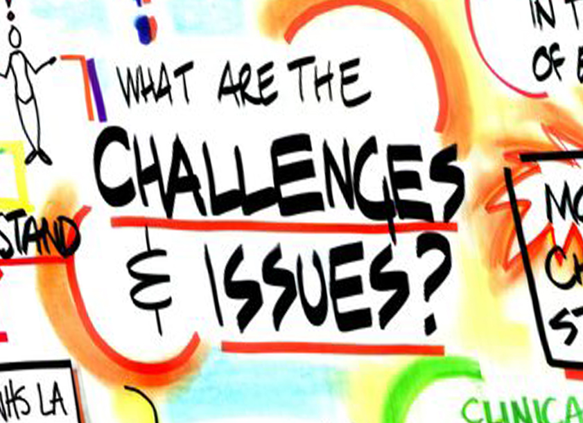 Gallery | Ann Howlett-Foster